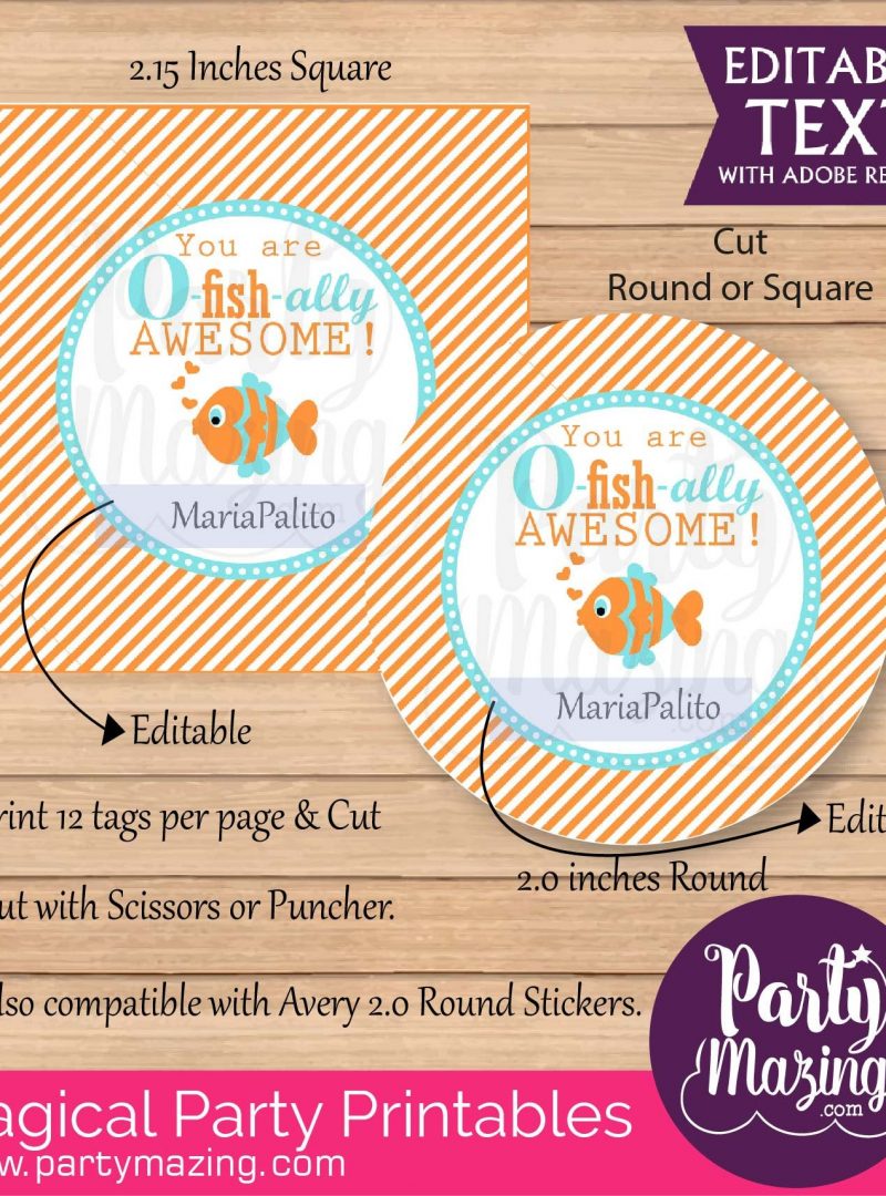 SCHOOL Archives - Partymazing